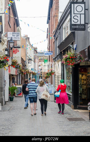 Narrow street in Devon Stock Photo - Alamy