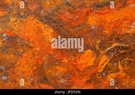 Maury Mountain agate, Oregon Stock Photo - Alamy