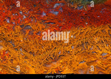 Maury Mountain agate, Oregon Stock Photo - Alamy