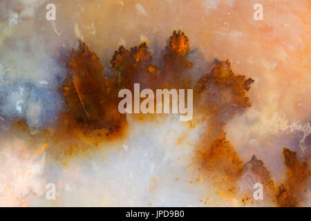 Graveyard Point agate, Oregon Stock Photo - Alamy