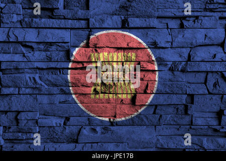 ASEAN flag with high detail of old wooden background . 3D illustration ...