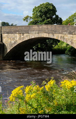On the banks of the River Ribble at Edisford Bridge close to Clitheroe ...