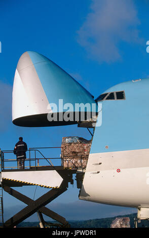 Boeing 747-200F with nose cargo loading door opening at dawn Stock ...