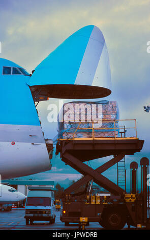 Boeing 747-200F with nose cargo loading door opening at dawn Stock ...