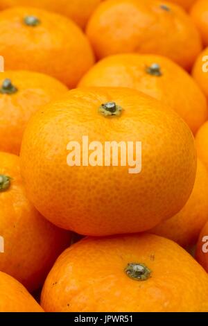 Kishu mandarins, Citrus kinokuni Stock Photo - Alamy