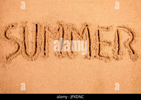 Summer time. The words summer and time written in cursive with mustard ...