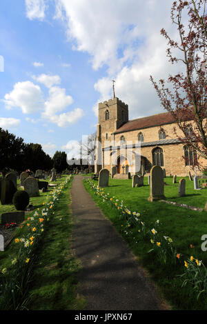 St Johns parish church, Somersham village, Cambridgeshire, East Anglia ...