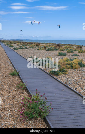 Kite surfing on Shoreham beach East Sussex Stock Photo - Alamy
