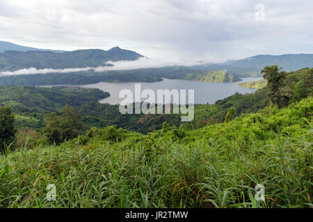Doyang Hydroelectric Dam, where up to one million birds : Amur falcon ...