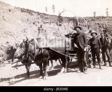 Black Hills Gold Rush,1889 Stock Photo - Alamy