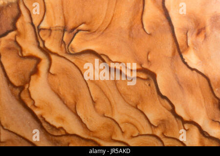 Biggs picture jasper from Oregon Stock Photo - Alamy
