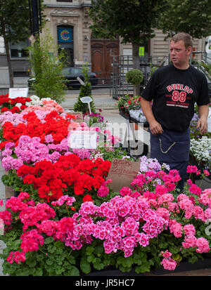 Kouter flower market in Ghent, Belgium, Europe Stock Photo - Alamy