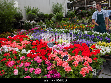 Flower market Kouter in Ghent Stock Photo - Alamy