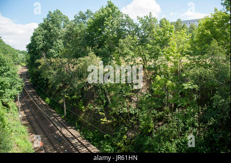 The site of the believed missing Nazi Gold Train in Walbrzych, Poland ...