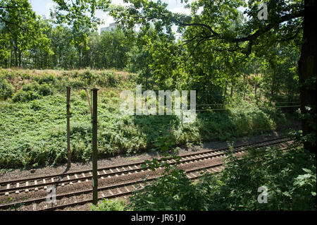 The site of the believed missing Nazi Gold Train in Walbrzych, Poland ...