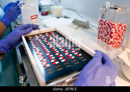 Packing white and red capsules in a sorting machine in a pharmaceutical ...