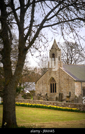 Elsdon village green and Elsdon Tower, Northumberland Stock Photo - Alamy