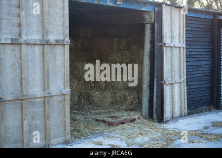Empty large horse stable Stock Photo - Alamy