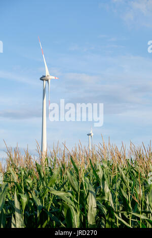 mills in the german muensterland Stock Photo - Alamy