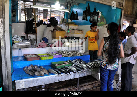 Stall selling fresh fish, Kandy Central Market, Sri Lanka Stock Photo ...