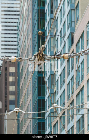 Overhead trolley or tram wires in Toronto, Canada as seen from tourist ...