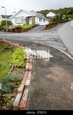 Flowers on the remains of a collapsed wall at a property in Heolgerrig ...
