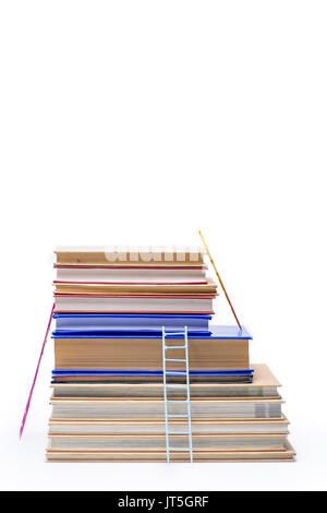 stack of books with ladders isolated on white, educational concept ...