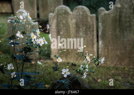 New Life street sign with Dead End sign below Stock Photo - Alamy
