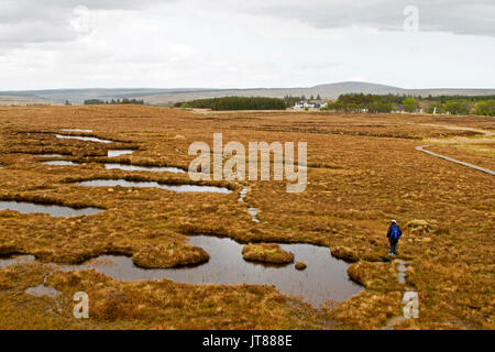 Landscape dominated by peat marsh and countless pools of water under ...