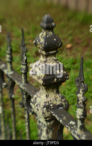 vintage iron fence posts weather mossy Stock Photo - Alamy