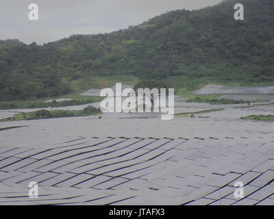 Philippines. 03rd Aug, 2017. The Calatagan Solar Farm is a 160 hectares ...