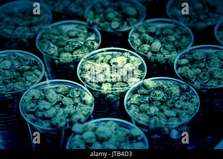 Chufa water, hydrated dry fruit detail Stock Photo - Alamy