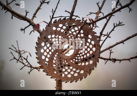 Circular disk hooked on a tree in the forest in black and white Stock ...