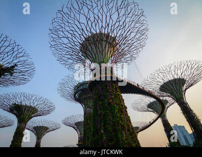 Singapore - Jul 5, 2015. Top of the Supertree Grove in Singapore. A ...