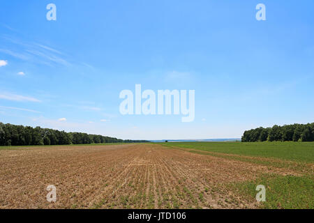 Field rests in summer. Fallow land Stock Photo - Alamy