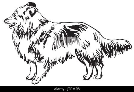 Decorative portrait of dog Shetland Sheepdog (Sheltie), vector isolated ...