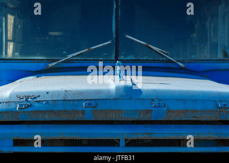 Old Blue Bus, Town, Anchor Point, Kenai Peninsula, Alaska, USA Stock ...
