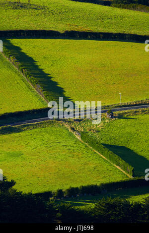 Farmland at Upper Junction, Dunedin, South Island, New Zealand Stock ...
