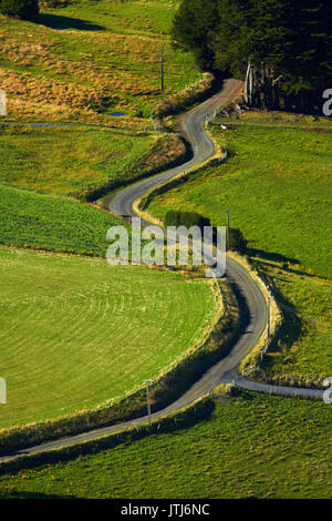Farmland at Upper Junction, Dunedin, South Island, New Zealand Stock ...