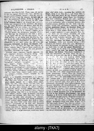 'Słownik języka polskiego' is a Polish-language dictionary, with volume ...