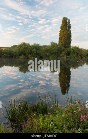 Sunrise reflections on the River Trent at Colwick Park in Nottingham ...