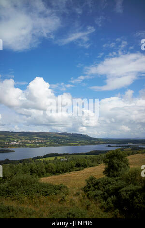 IRELAND County Fermanagh Lough Macnean Frozen with reeds casting long ...