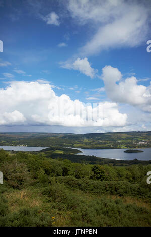 IRELAND County Fermanagh Lough Macnean Frozen with reeds casting long ...