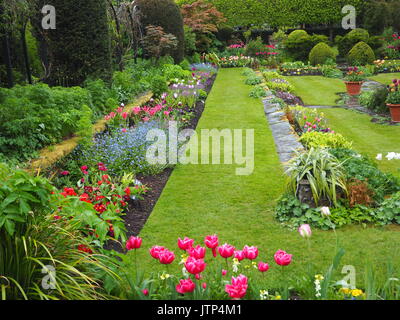 Box hedge plants clipped into round ball bush shapes in topiary garden ...