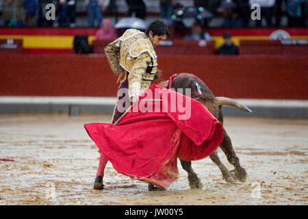 Bullfighting Matador muleta sword fighting bull impaled banderillas ...