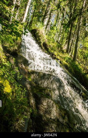 A beautiful waterfall in Finland Stock Photo - Alamy