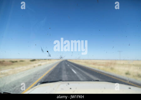 Bug splatter on vehicle windshield driving on highway 22, near Pincher ...