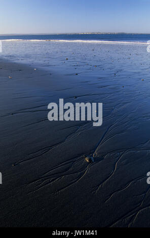 Beach, Damon Point State Park, Washington Stock Photo - Alamy