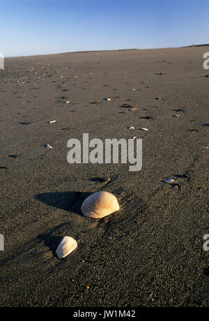 Beach, Damon Point State Park, Washington Stock Photo - Alamy