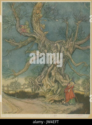 Major Andres Tree Rackham Stock Photo - Alamy